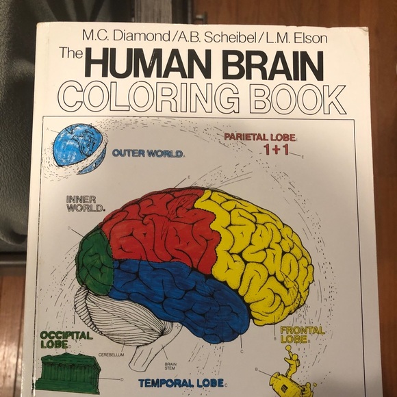 Human Brain Coloring Pages